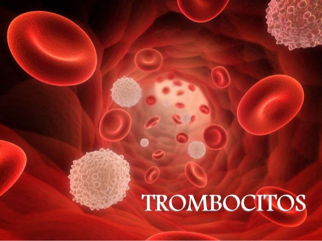 TROMBOCITOS