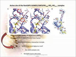 Seminario in aula- Valeria Prestigiacomo (Coordinatore Prof.Giulio ...
