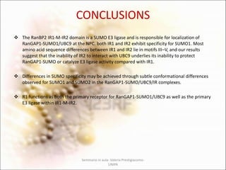 Seminario in aula- Valeria Prestigiacomo (Coordinatore Prof.Giulio ...