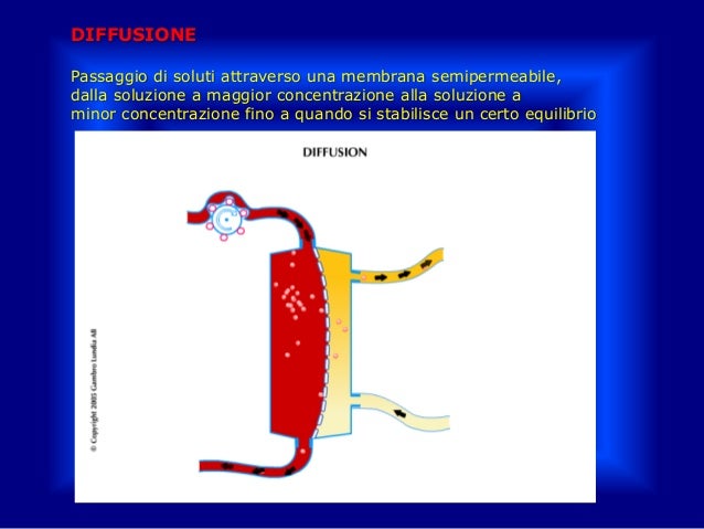 Seminario la dialisi 4 11-2013