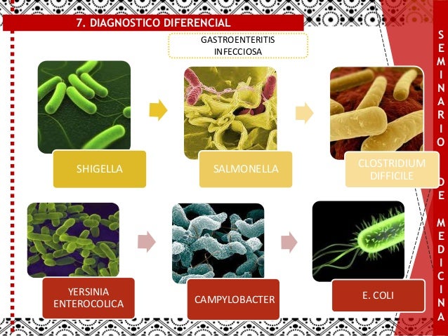 Salmonelosis - patogenia, epidemiologia, cuadro clínico, evolución,