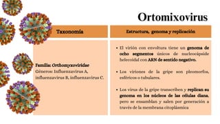 Virus de importancia clínica. Microbiología | PDF