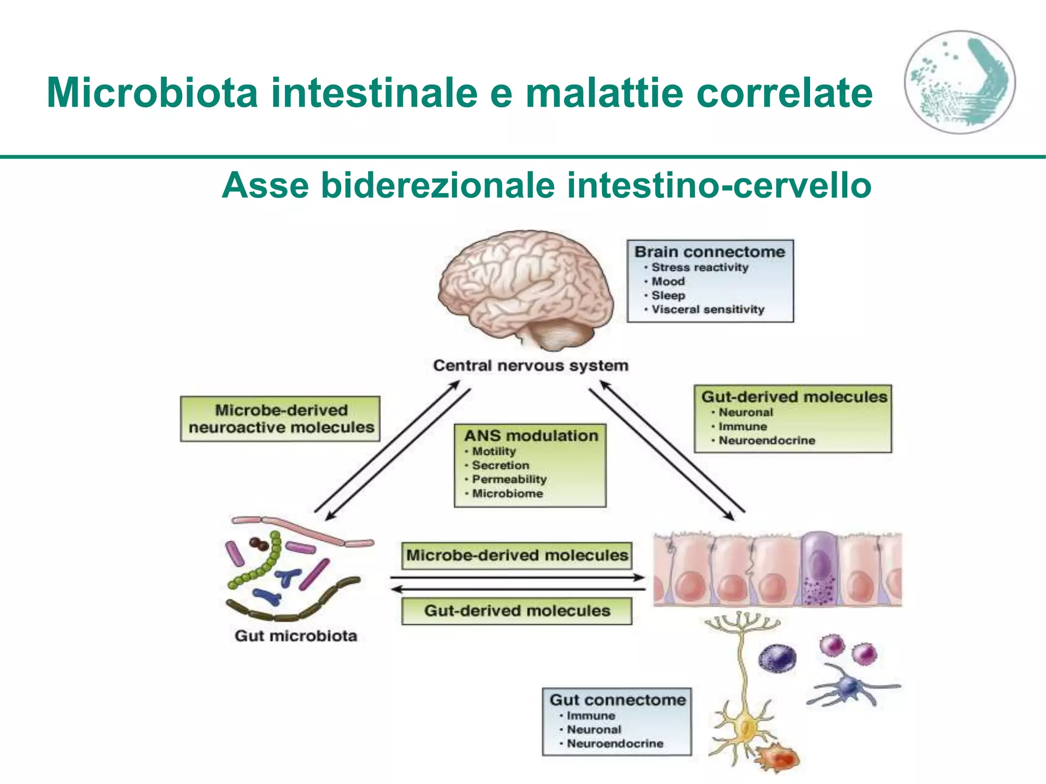 Microbiota intestinale: in salute e in malattia | PPTX