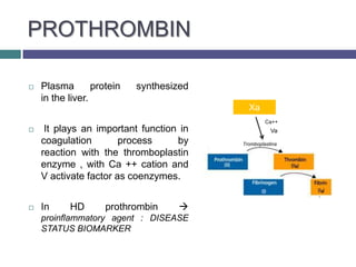 Seminario biologia molecular HD | PPTX | Blood Disorders | Diseases and ...