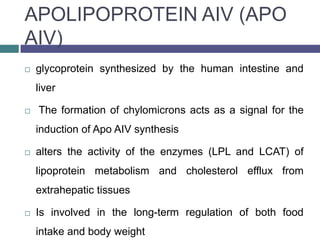 Seminario biologia molecular HD | PPTX | Blood Disorders | Diseases and ...