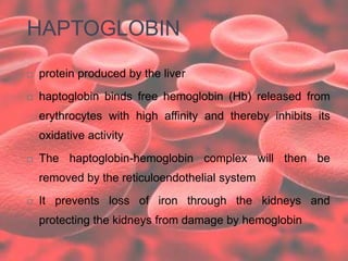 Seminario biologia molecular HD | PPTX | Blood Disorders | Diseases and ...