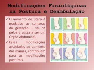 Mudanças na gravidez: Postura e deambulação | PPT
