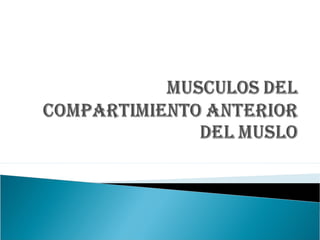 Musculos, arteria y nervio del muslo (Femur) | PPT