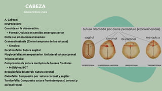 SEMINARIO N°2-SEMIOLOGIA DE CABEZA Y CUELLO.pptx