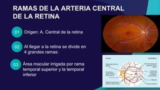 SEMINARIO OCLUSIONES ARTERIALES DE LA RETINA | PPTX