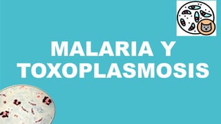 Comprehensive Overview of Malaria: Causes, Morphology, Transmission ...