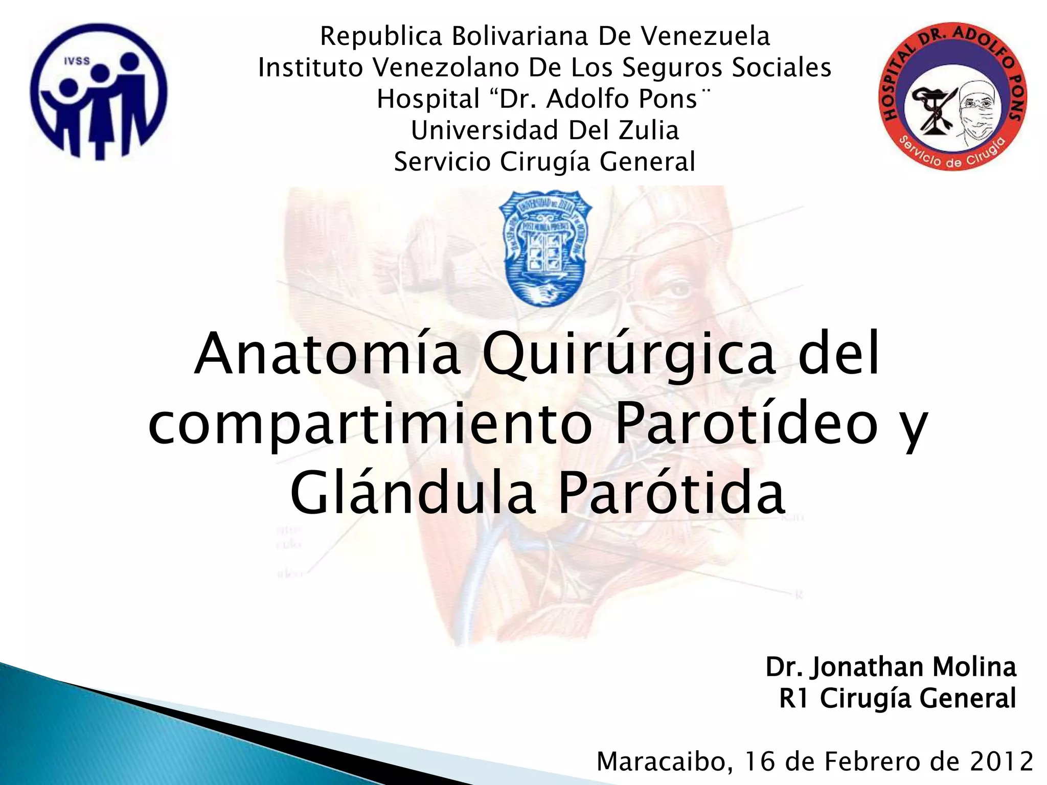 Anatomia de la glandula parotida jonathan molina | PPTX