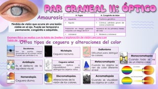 seminario patología de los pares craneales 2024.pptx