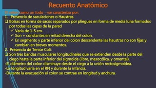 Las patologías del colon en Imagenología | PPTX