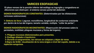 Patologías de esófago en Imagenología | PPTX