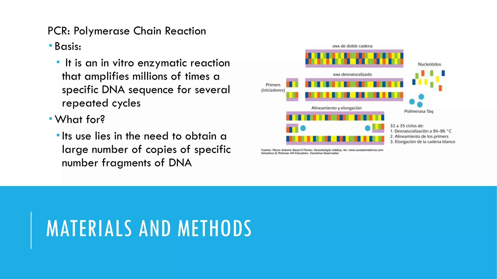 Detection of the Salmonella Typhi bacteria in contaminated egg using ...