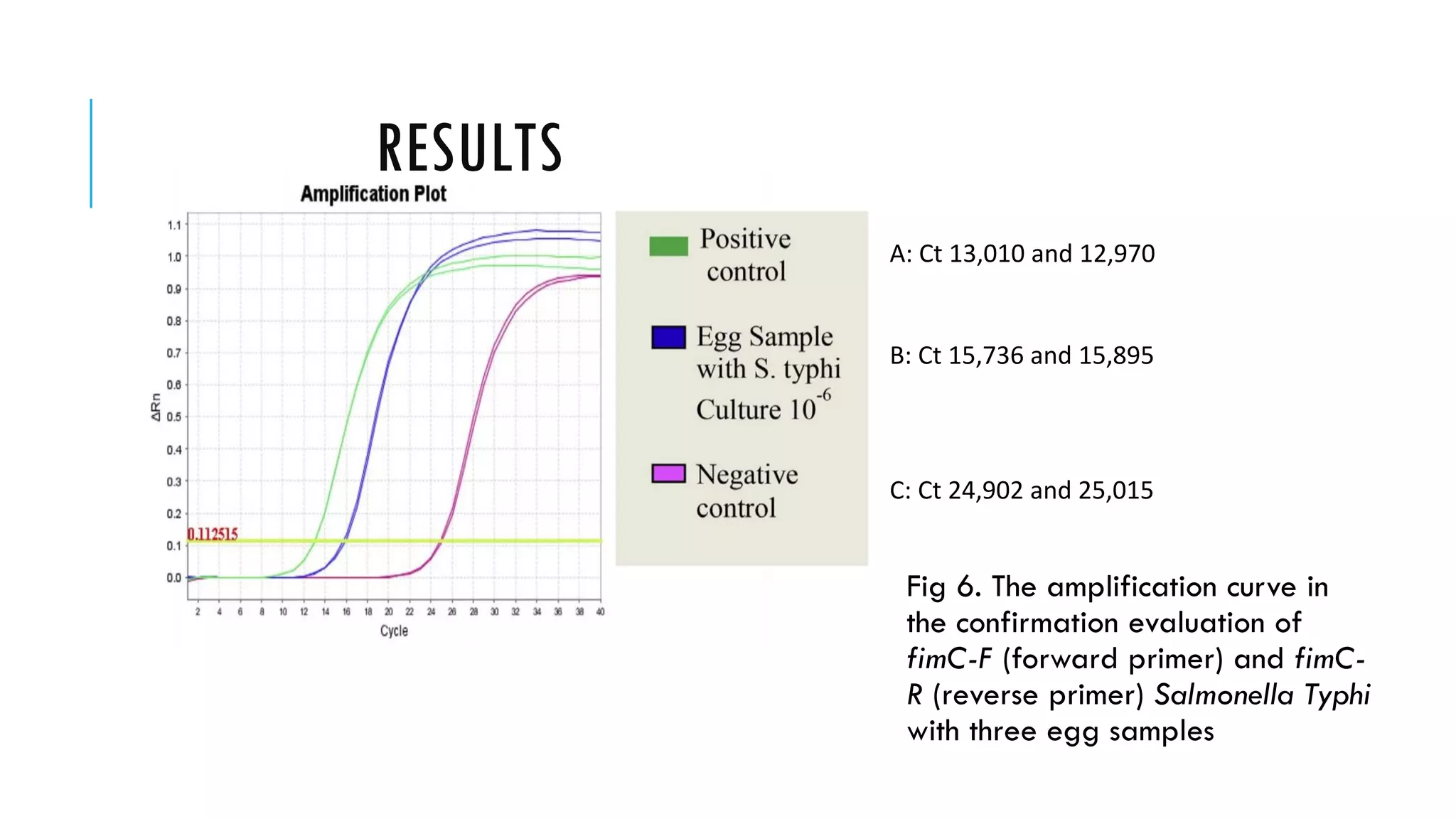 Detection Of The Salmonella Typhi Bacteria In Contaminated Egg Using