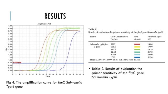 Detection of the Salmonella Typhi bacteria in contaminated egg using ...