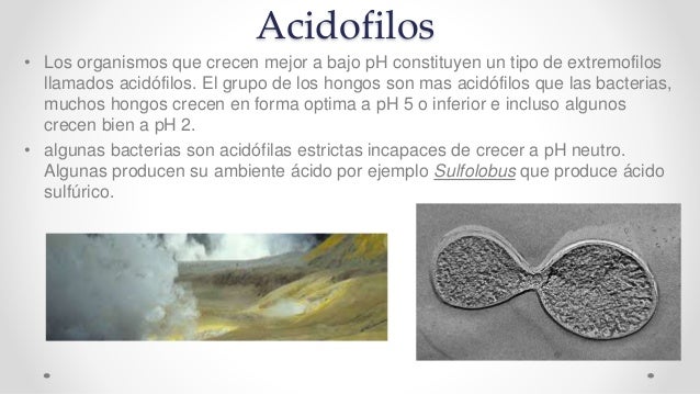 Influencia del pH y la temperatura sobre el crecimiento microbiano