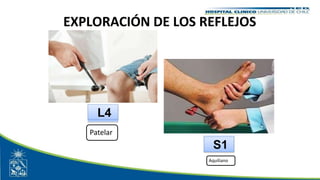 plexo lumbar seminario anatomía lumbosacra | PPTX