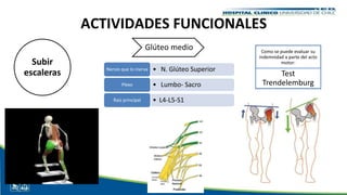 plexo lumbar seminario anatomía lumbosacra | PPTX