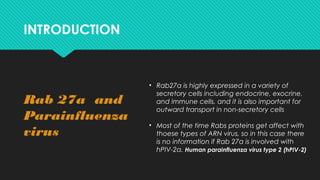 Seminario biología molecular. Juan camilo Botero | PPT
