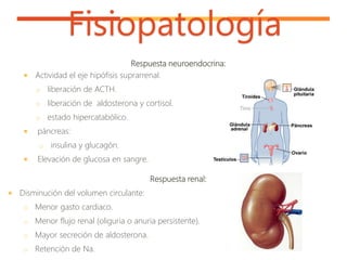 Seminario quemaduras cirugia pediatrica Doctor Luigi Mancini