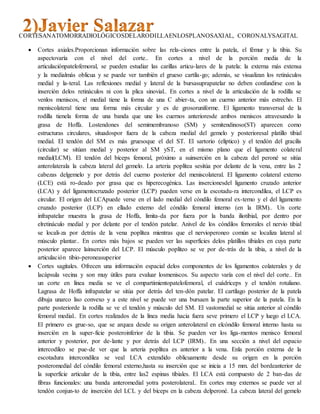 rodilla y pierna | DOCX