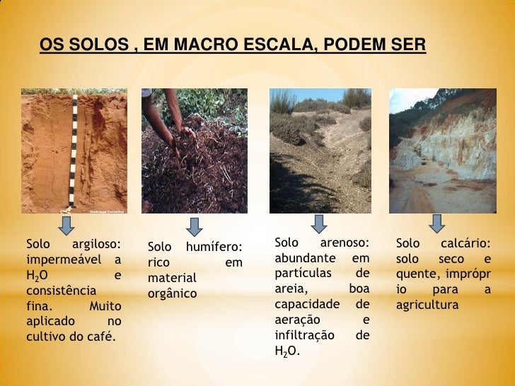 Seminario solo planta-atmosfera - suellen mestrado