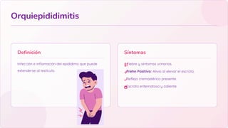 Seminario Urología - Escroto Agudo quirurgico | PDF