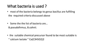Seminar is based on topic bio concrete | PPTX