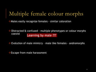 Female harassment in damselflies | PPTX | Genetics | Science