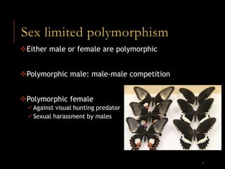 Female harassment in damselflies | PPTX | Genetics | Science