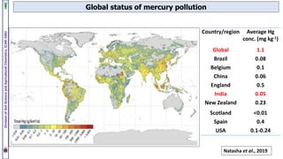 Mercury in soil-plant-human system and its remediation | PPTX