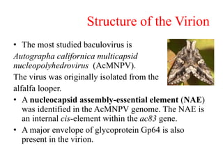 INSECT CONTROL USING BACULOVIRUS VECTOR | PPTX