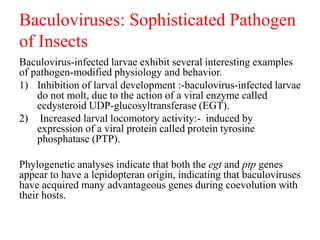 INSECT CONTROL USING BACULOVIRUS VECTOR | PPTX