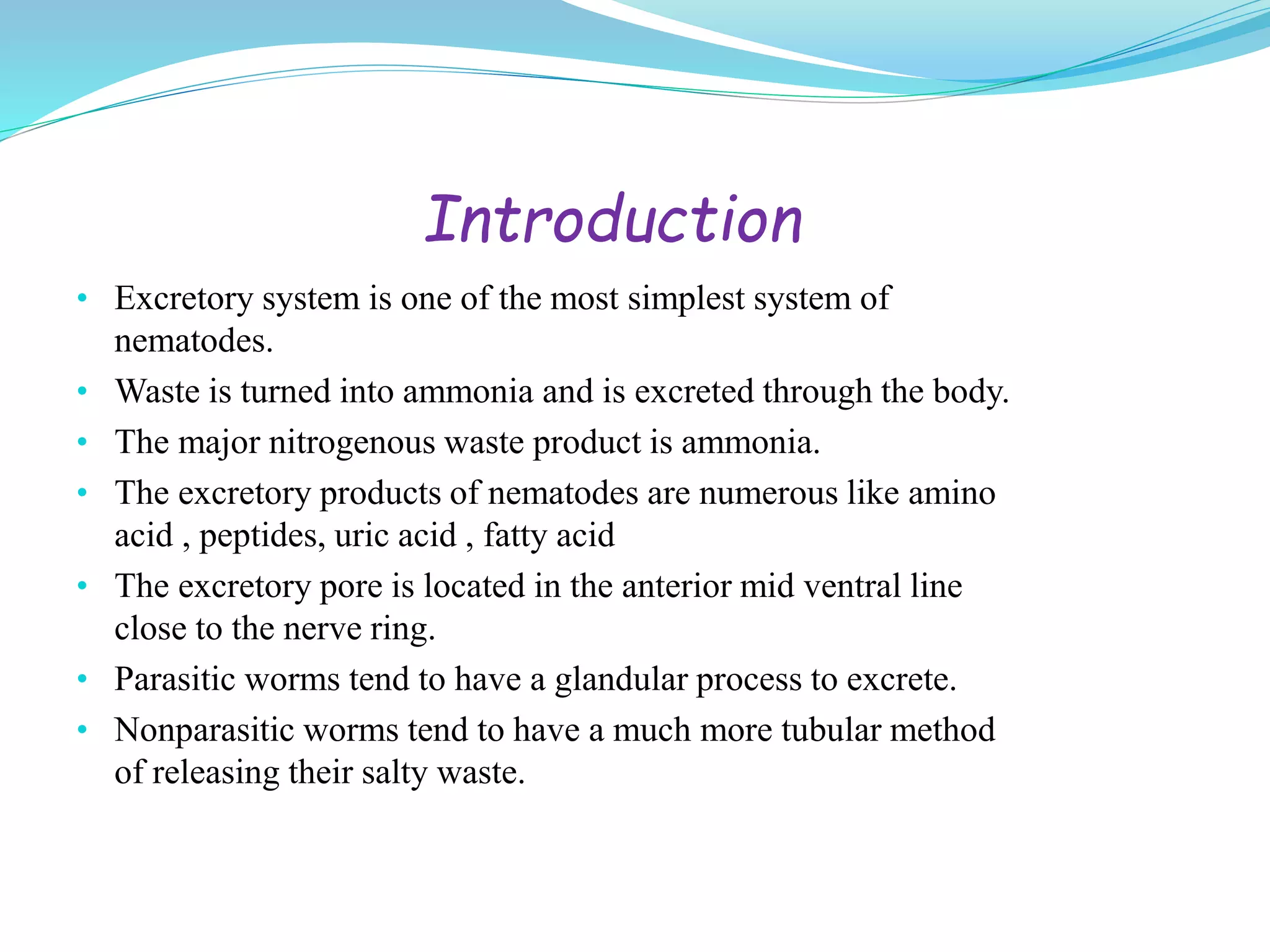 Nematode Excretory System: Structure & Significance By SUNDUS SUHAIL | PPTX