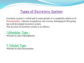 Nematode Excretory System: Structure & Significance By SUNDUS SUHAIL | PPTX