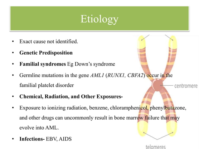 Leukemia.pptx | Blood Disorders | Diseases and Conditions