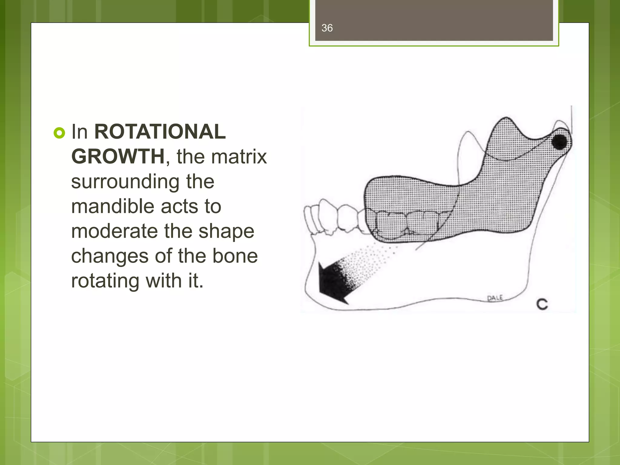 GROWTH & DEVELOPMENT OF MANDIBLE | PPTX