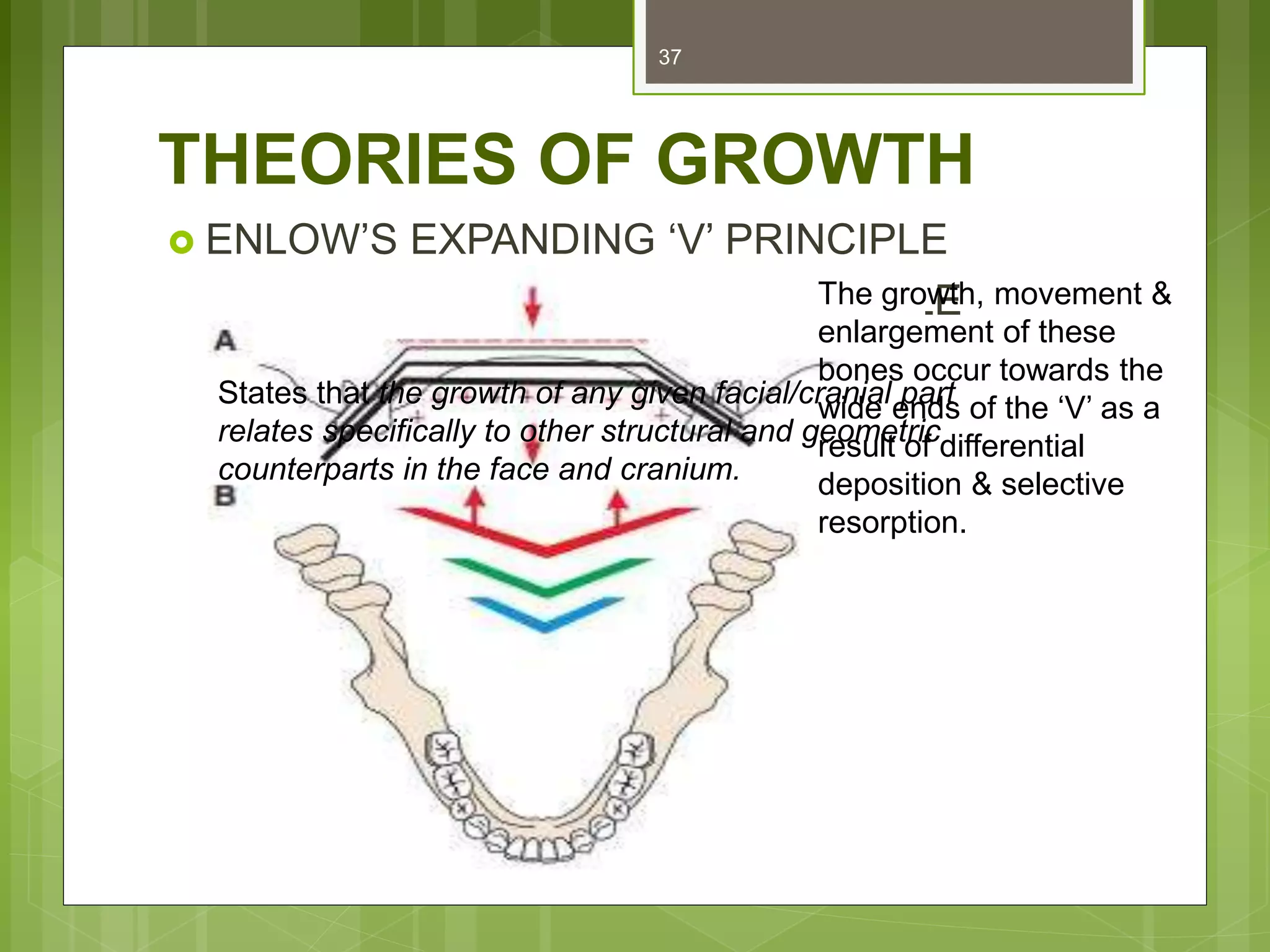 GROWTH & DEVELOPMENT OF MANDIBLE | PPTX