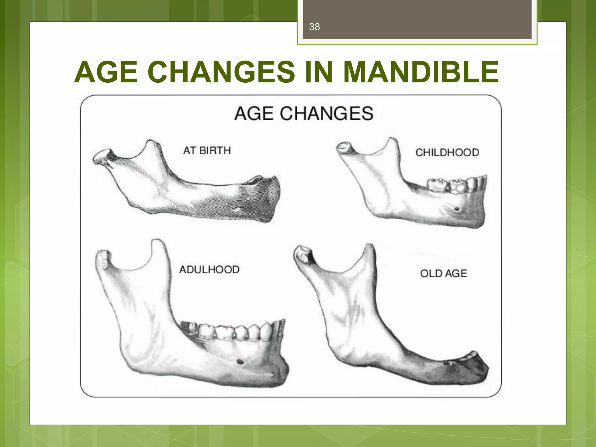 GROWTH & DEVELOPMENT OF MANDIBLE | PPTX