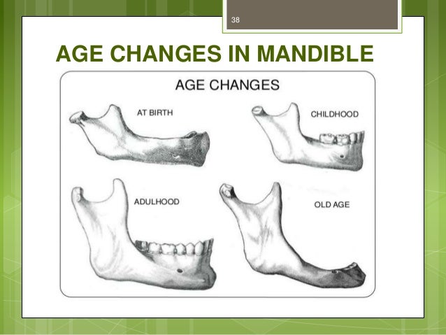 GROWTH & DEVELOPMENT OF MANDIBLE