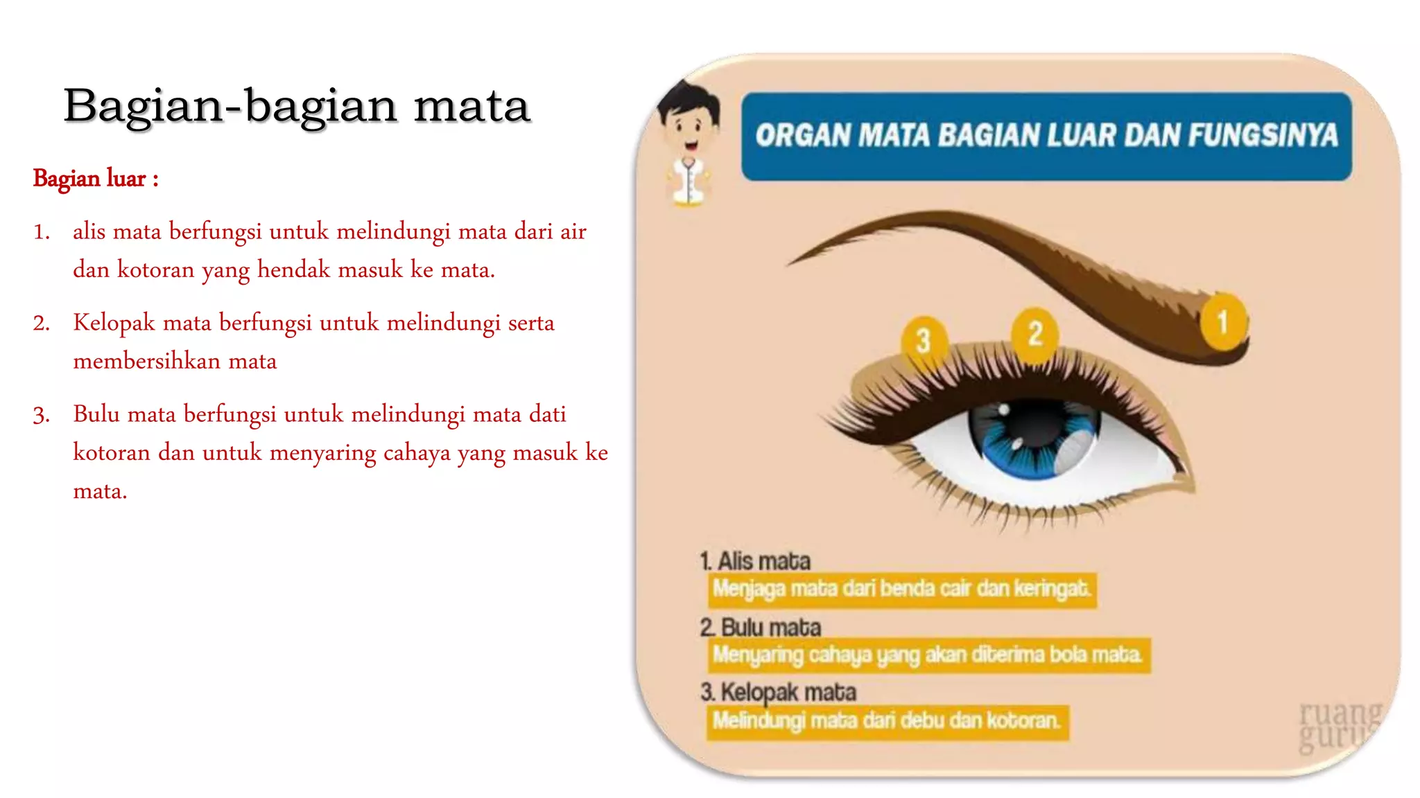 Seminar kesehatan mata bagi anak-anak usia sekolah | PPTX