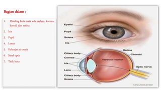 Seminar kesehatan mata bagi anak-anak usia sekolah | PPTX