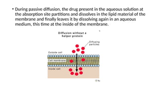 Seminar Mechanisms and Methods of Drug absorbed from git.pptx