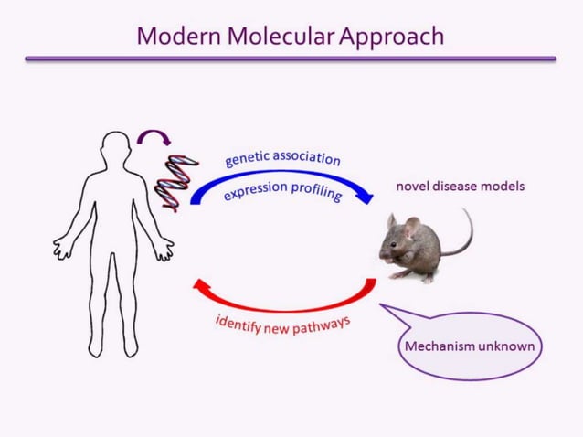 DRUG TARGET DISCOVERY | PPTX | Cancer | Diseases and Conditions