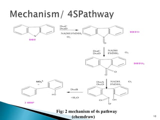 (Seminar )Metabolic pathway of Desulphurization of Dibenzothiophenne ...