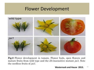 ROLE OF JASMONIC ACID IN PLANT DEVELOPMENT &DEFENCE MECHANISM | PPTX