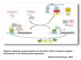 ROLE OF JASMONIC ACID IN PLANT DEVELOPMENT &DEFENCE MECHANISM | PPTX